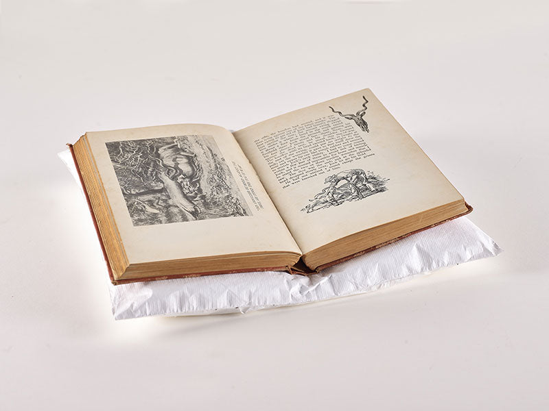 3O4mm square – Archival Survival