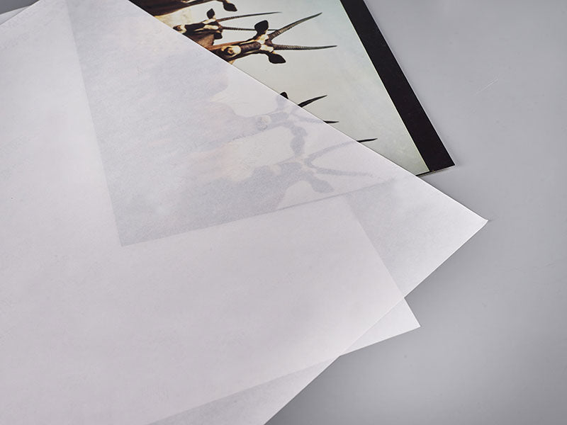 812 x 1016mm – Archival Survival